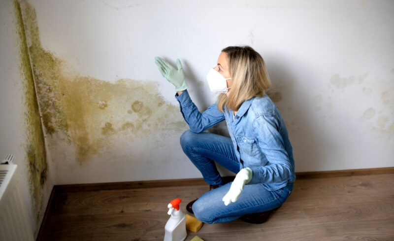 How to Recognize a Bad Property - Triumph Property Management - Las Vegas